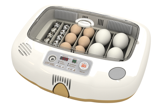 Rcom Egg Incubators and Brooders for Avian Poultry Reptile Puppy – Rcom ...