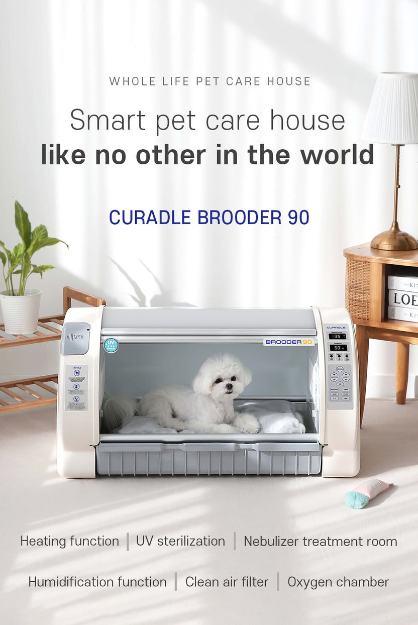 Rcom Egg Incubators and Brooders for Avian Poultry Reptile Puppy – Rcom ...