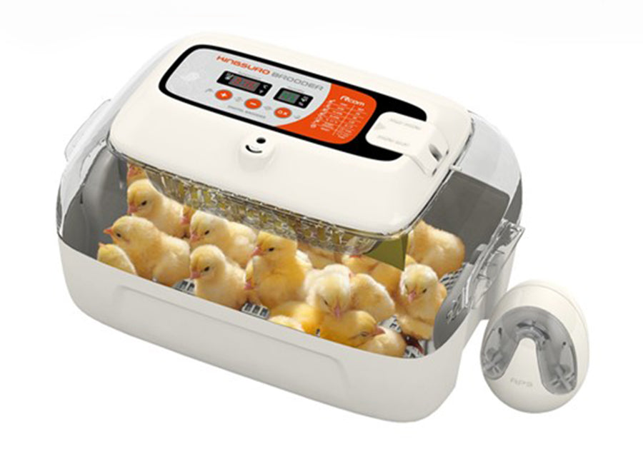 R-Com Curadle Brooders Puppies Critters Kittens Reptiles – Rcom ...