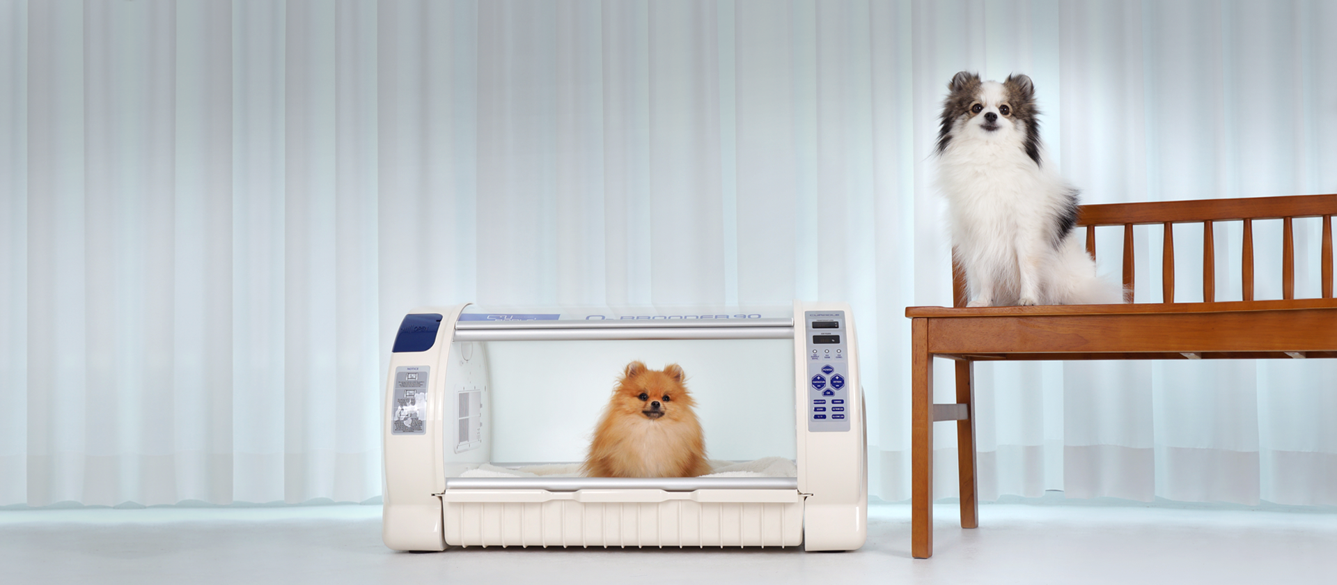 Rcom Egg Incubators and Brooders for Avian Poultry Reptile Puppy – Rcom ...