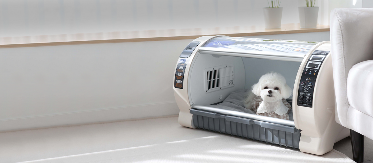 Rcom Egg Incubators and Brooders for Avian Poultry Reptile Puppy – Rcom ...