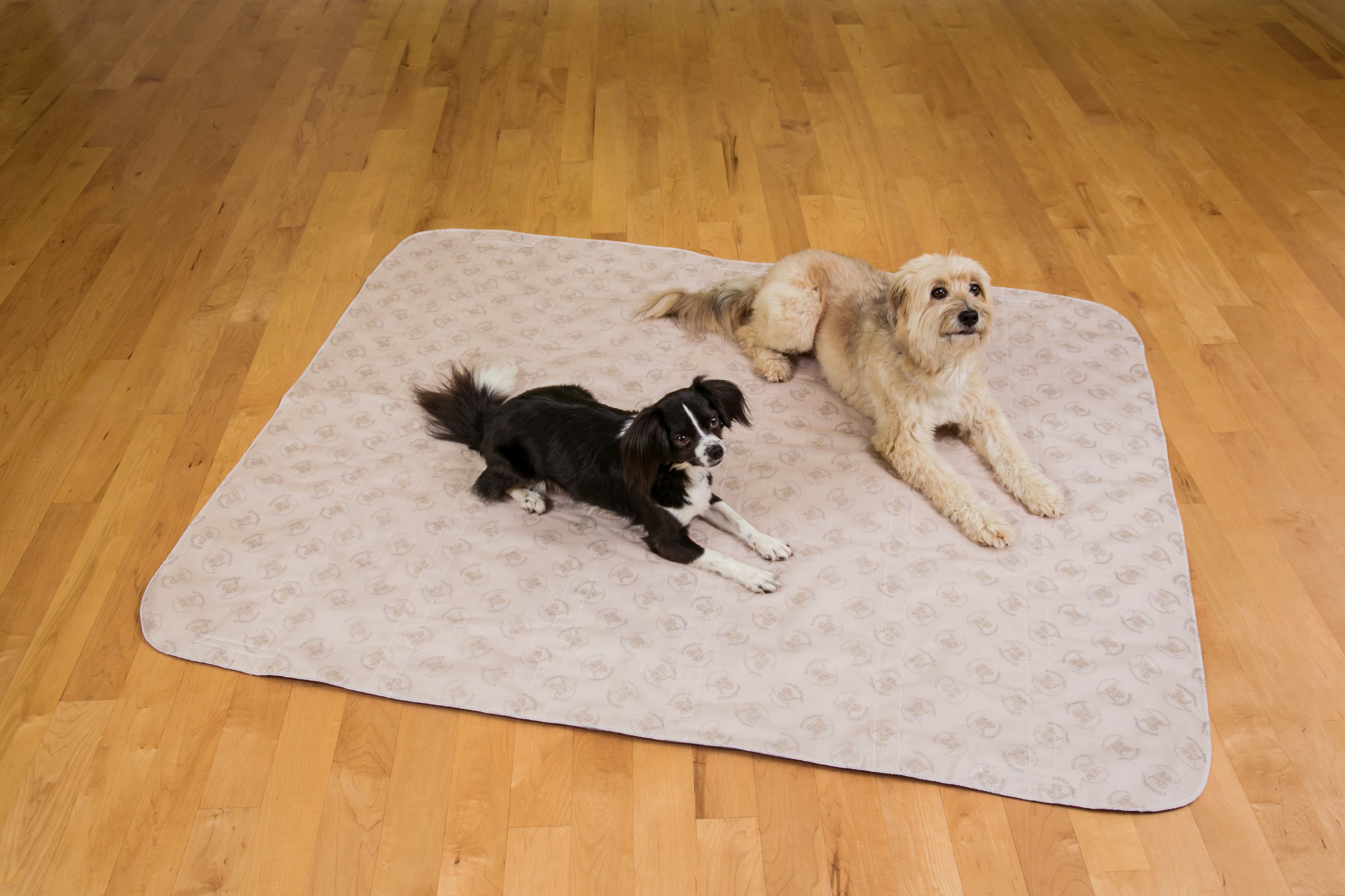 PoochPad Reusable Potty Pad for Whelping Boxes - XXL 48" x 48" - Beige ...